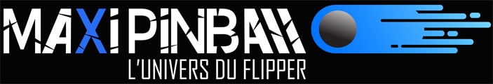 Maxipinball : vente et location de flippers sur Lille et Paris